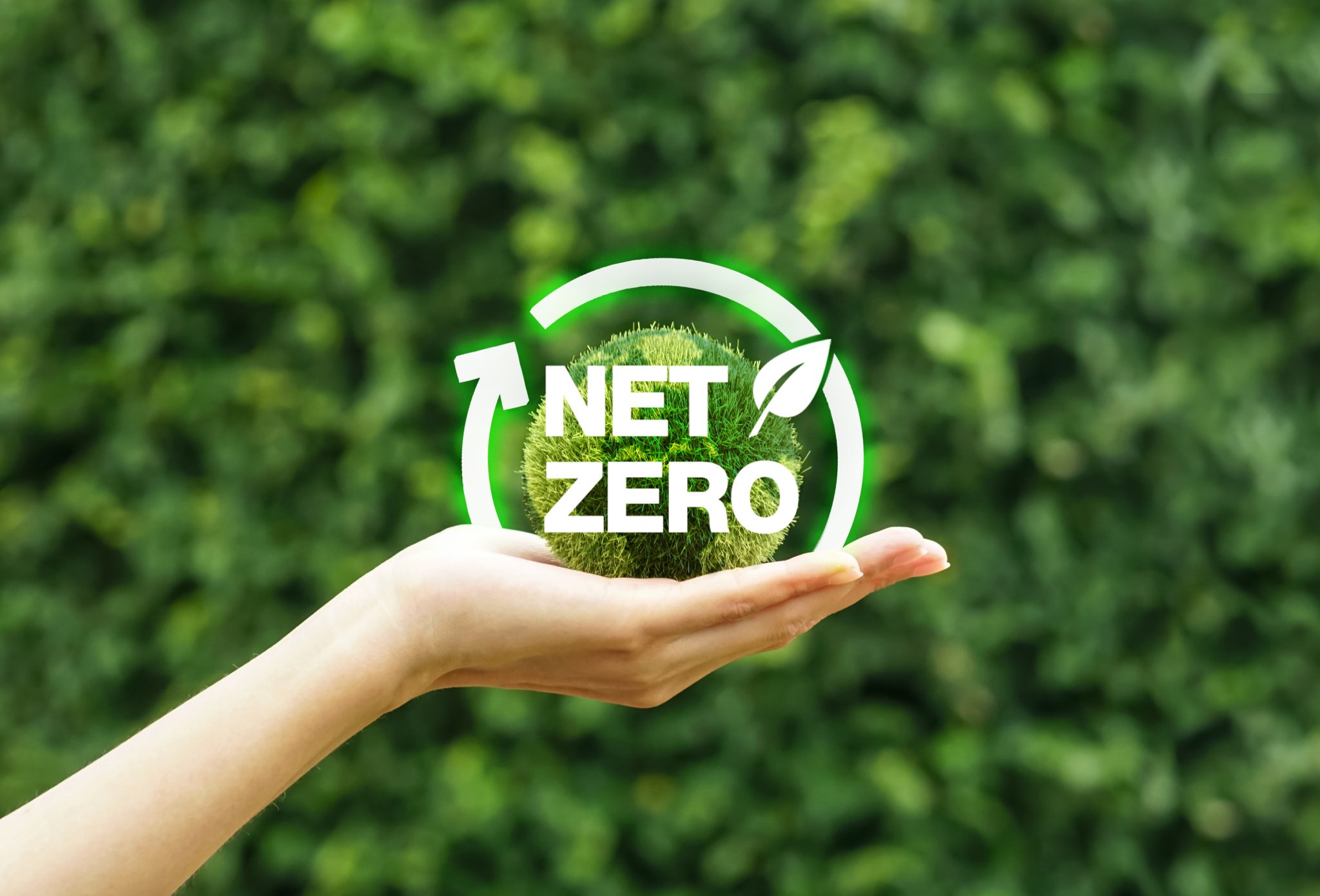 Counterpart - Net-Zero